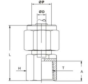 Two Touch Rapid Female Straight Union - LUCO FITTING